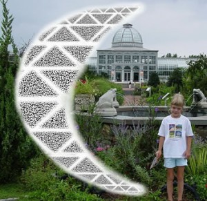 Simulations of Eye Disorders | Richmond Eye Associates